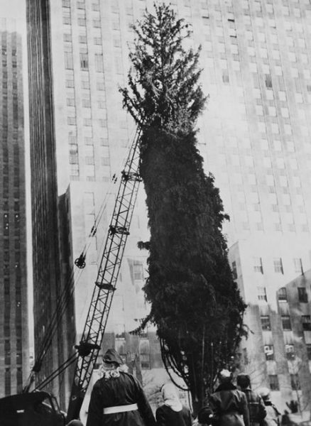 (Almost) Every Rockefeller Center Christmas Tree To Date ~ Hello, Big Apple